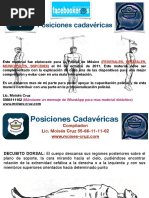 Posiciones de Cadáveres | PDF | Términos anatómicos de ubicación ...
