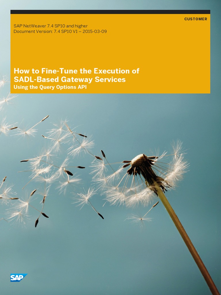 Fine-Tune The Execution of SADL-Based Gateway Services PDF | PDF ...