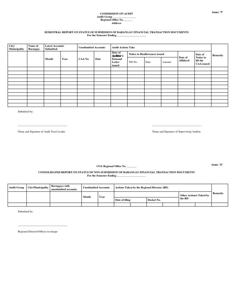 Semestral Barangay Financial Report | PDF | Accounting | Service Industries