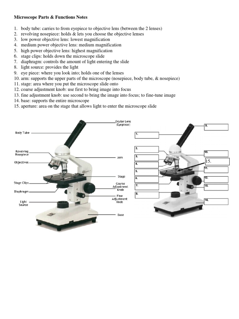 Microscope Parts and Functions Overview | PDF