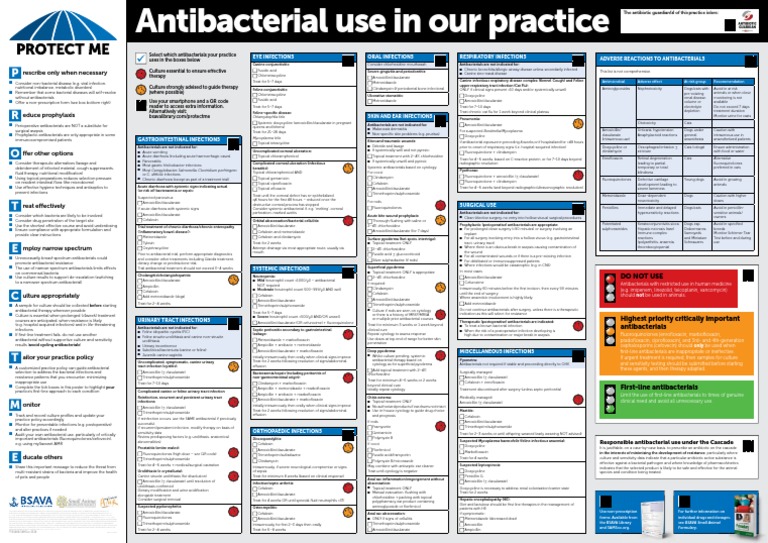 BSAVA PROTECT-ME Poster PDF | PDF | Infection | Urinary Tract Infection