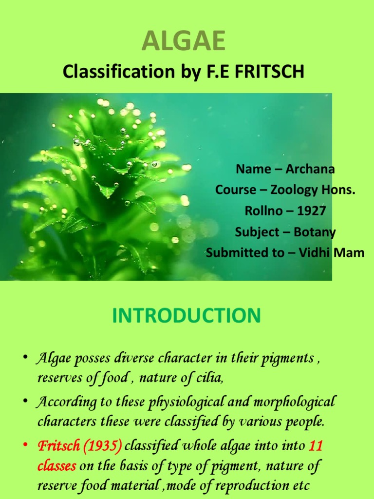 Classification by F.E FRITSCH: Algae | PDF | Algae | Chloroplast