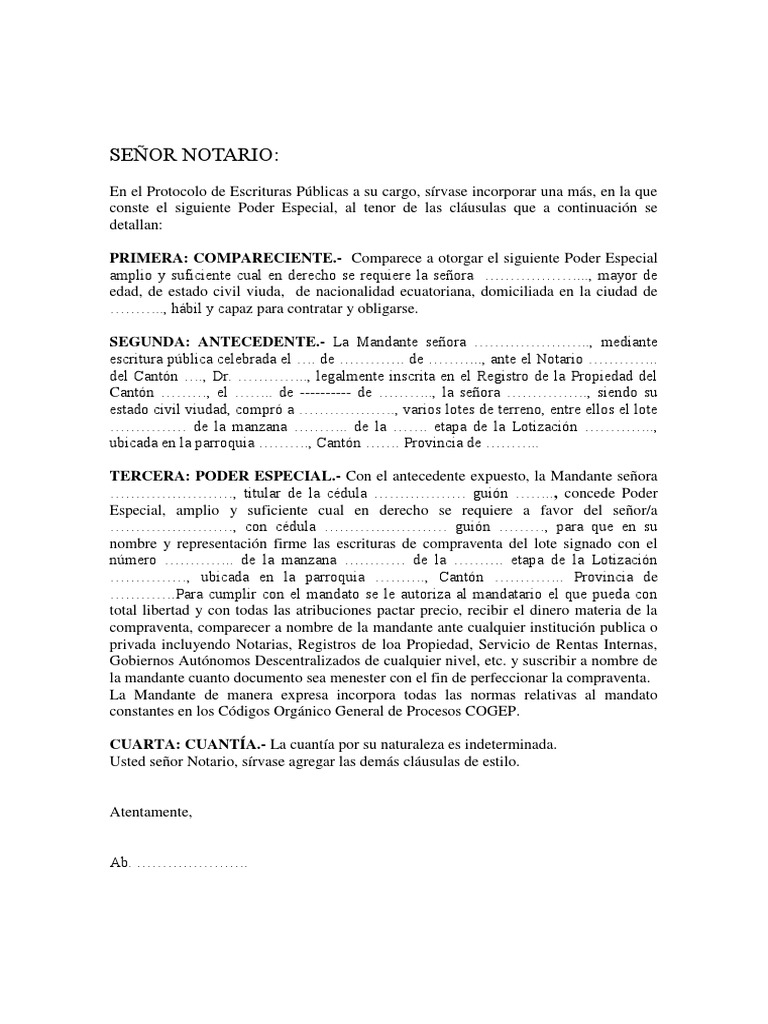 Modelo de Poder Especial | PDF