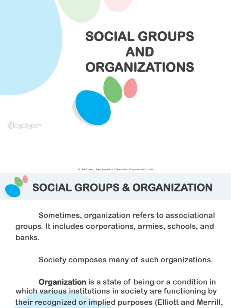 Social Groups AND Organizations | PDF | Social Group | Social Structure
