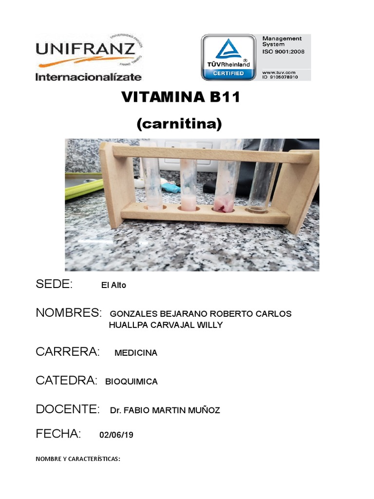 Beneficios y funciones de la vitamina B11 | PDF | Metabolismo | Vitamina