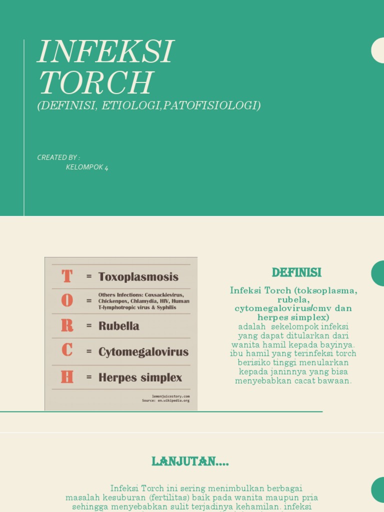 Infeksi Torch | PDF