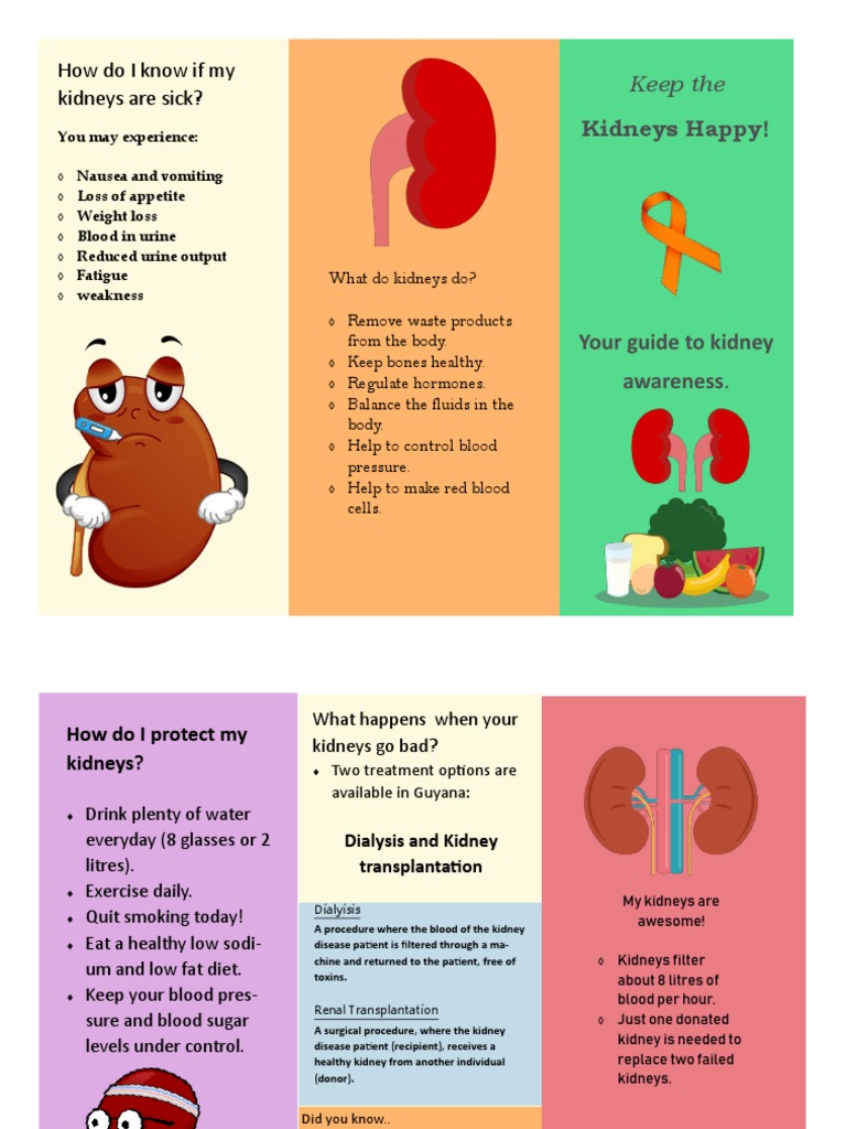 Health Care Brochure | PDF | Kidney Transplantation | Kidney