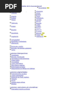 Kidiflu - Viroflu - Gripes, Congestion Nasal, Malestar en General | PDF ...
