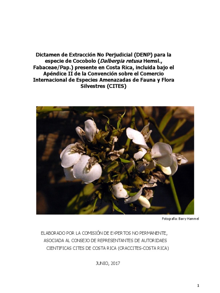 Dalbergia Retusa Denp 2017 | PDF | Los bosques | Siembra