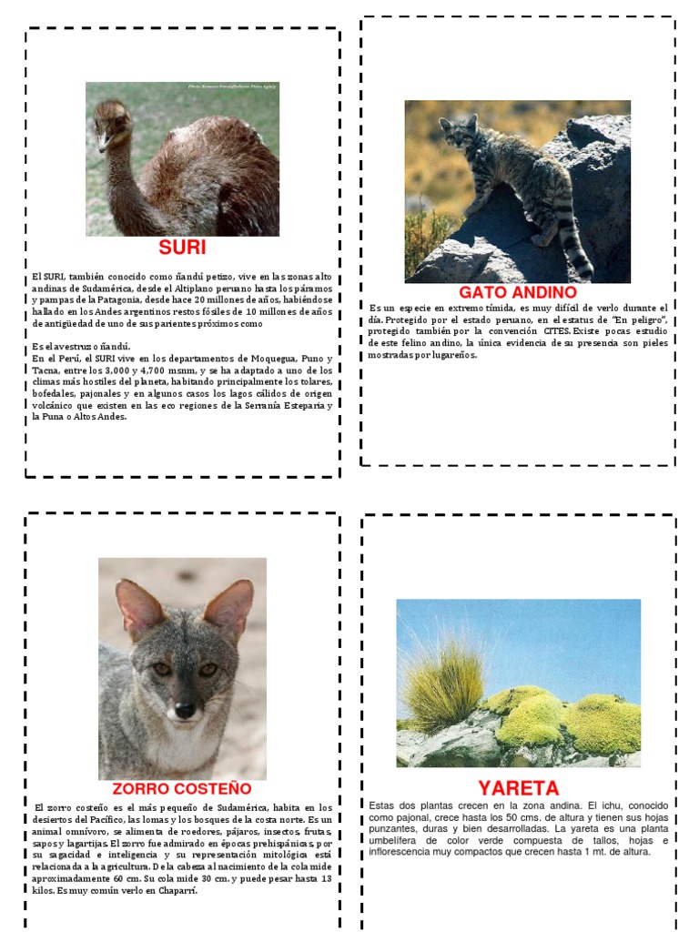 Album de Animales de Tacna | PDF | Andes | Naturaleza