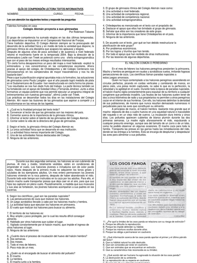 Guía de Comprensión Lectora Textos Informativos | PDF | Panda gigante ...
