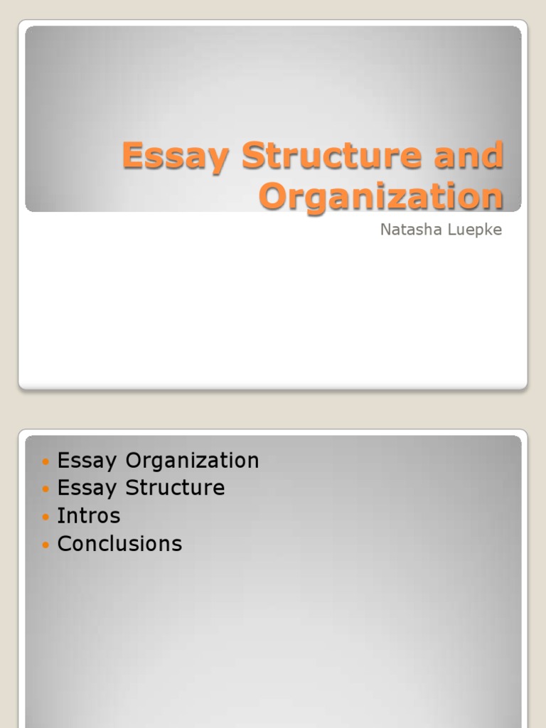 Essay Structure and Organization | PDF | Essays | Business