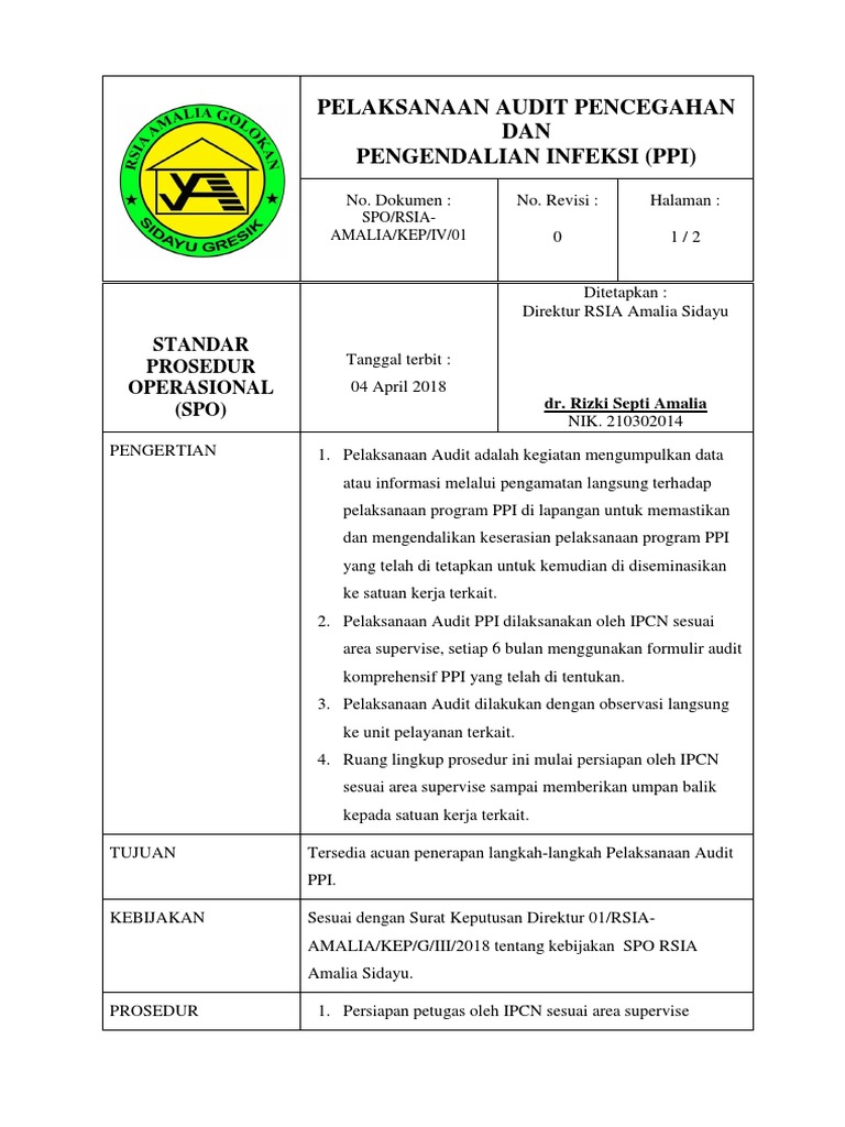 Audit PPI di RSIA Amalia Sidayu | PDF