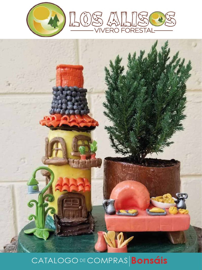 Catalogo | PDF | Bonsai | Forma de vida vegetal