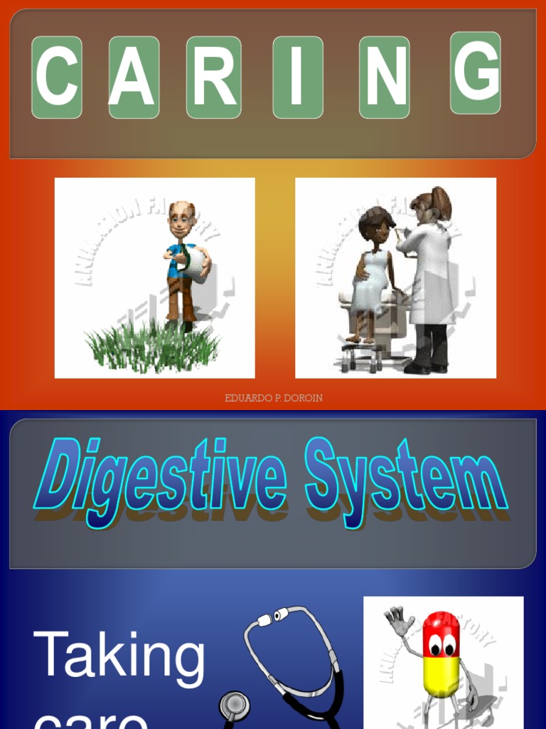 Digestive System Care | PDF | Dietary Fiber | Diet & Nutrition
