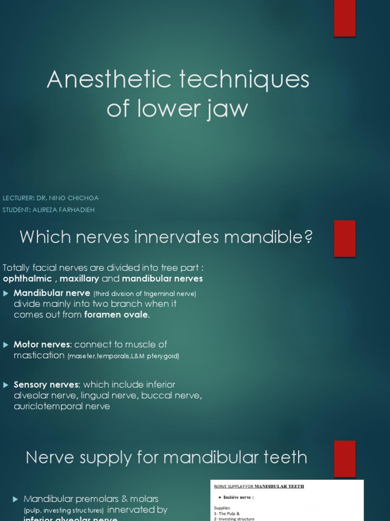 An Overview of Anesthetic Techniques for the Lower Jaw: A Focus on ...