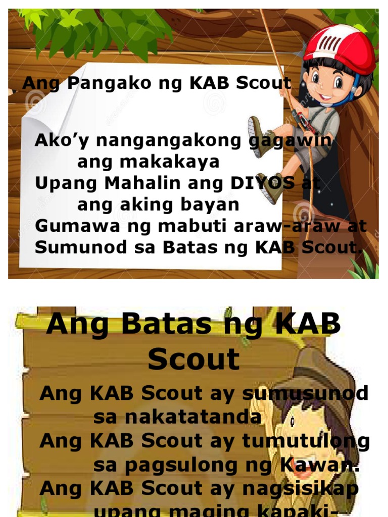 Scout | PDF