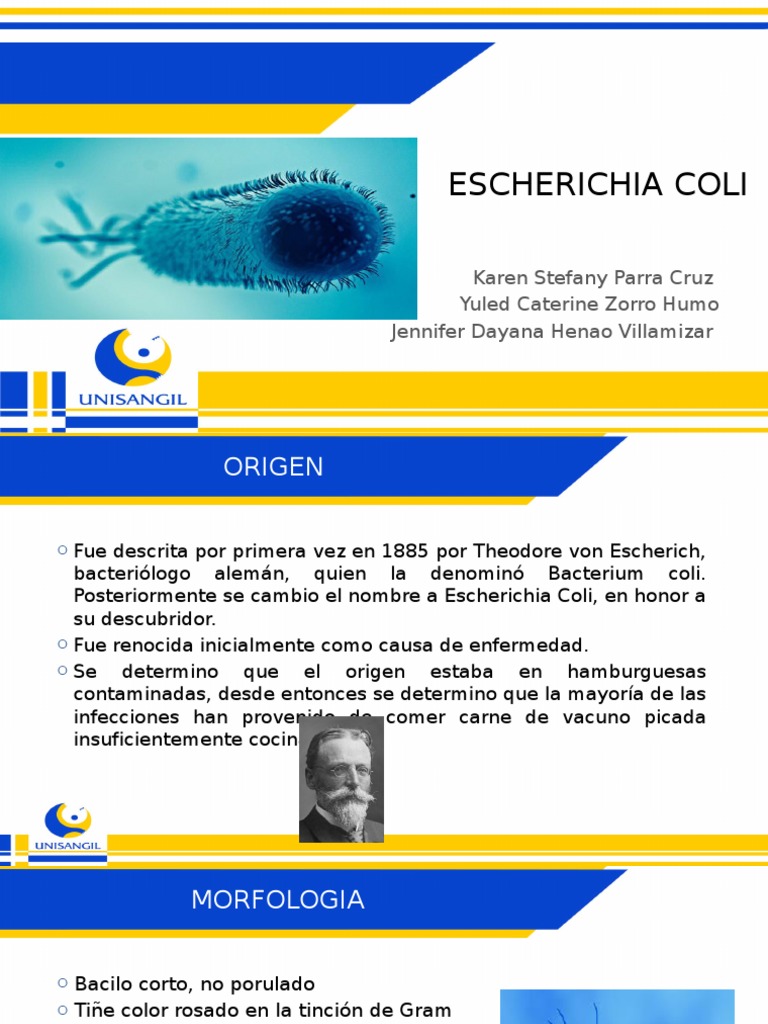Escherichia Coli | PDF | Escherichia coli | Diarrea
