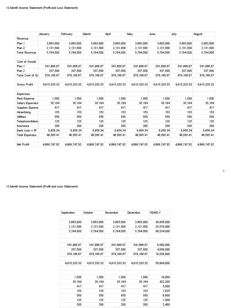 12-Month Income Statement Profit-And-Loss Statement - Sheet1 | PDF ...
