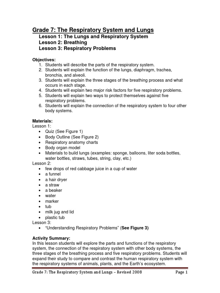 Grade 7: The Respiratory System and Lungs | PDF | Respiratory Tract | Lung