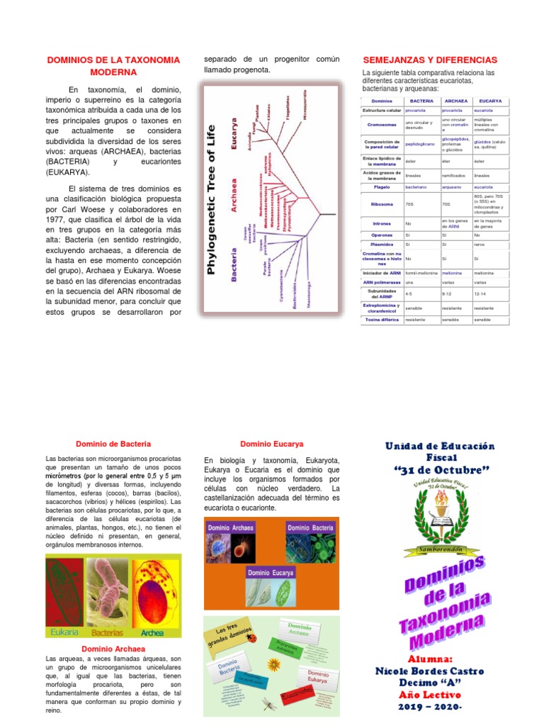 Dominios De La Taxonomia Moderna Semejanzas Y Diferencias | Archaea | Biología