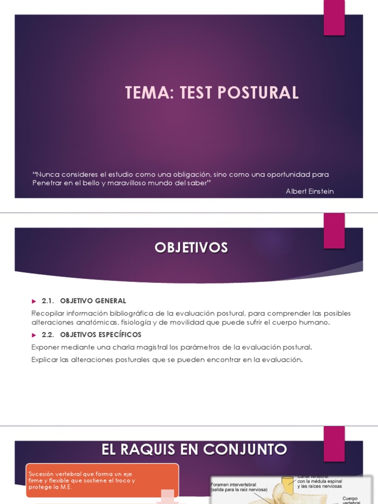 Test Postural | PDF | La columna vertebral | Rodilla
