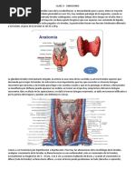 Clasificación OMS del Bocio | PDF | Salud y bienestar | Estilo de vida