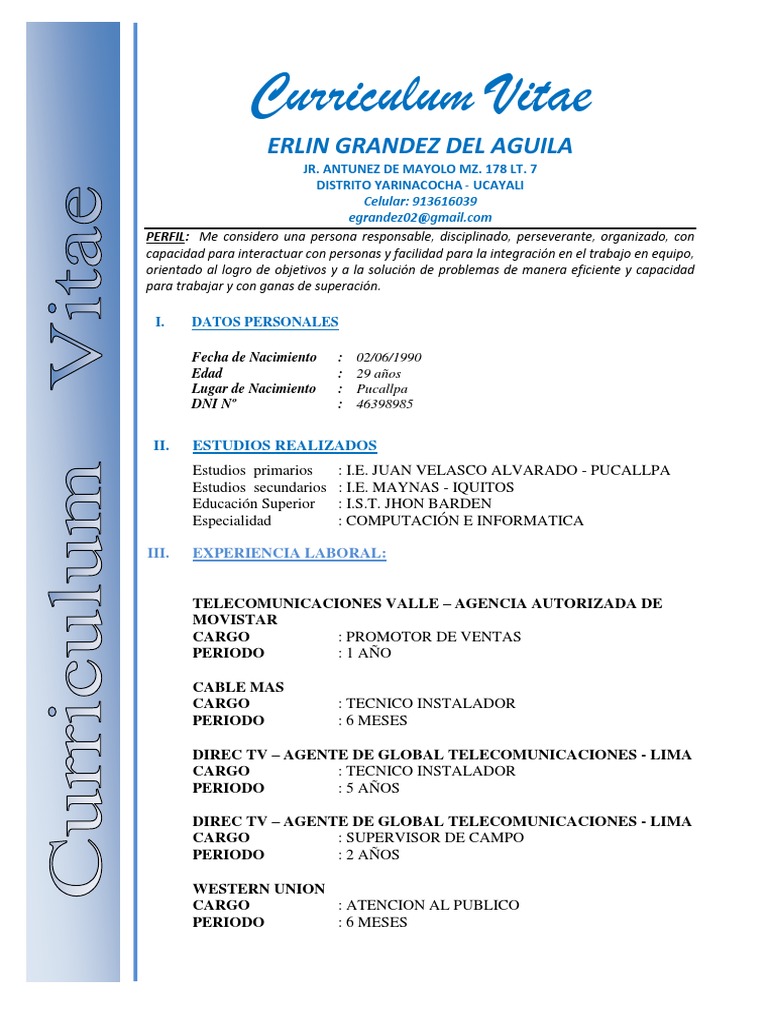 Curriculum Vitae 2019 | PDF | Informática | Educación avanzada