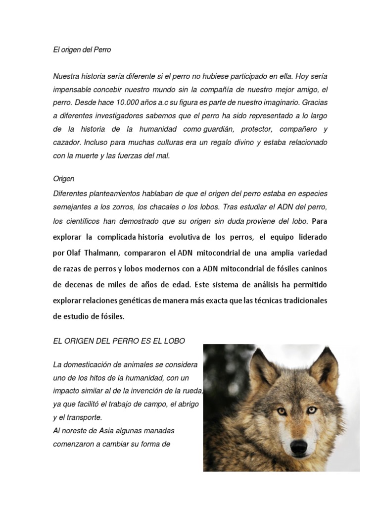 El Origen Del Perro | PDF | Perros | Domesticación
