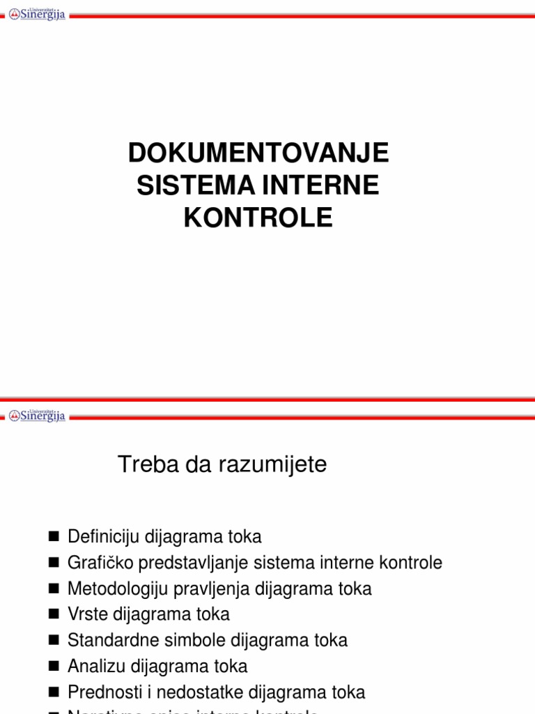 02 Dokumentovanje Sistema Interne Kontrole | PDF
