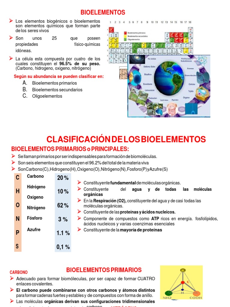 Bioelementos | PDF | Propiedades del agua | Polaridad química