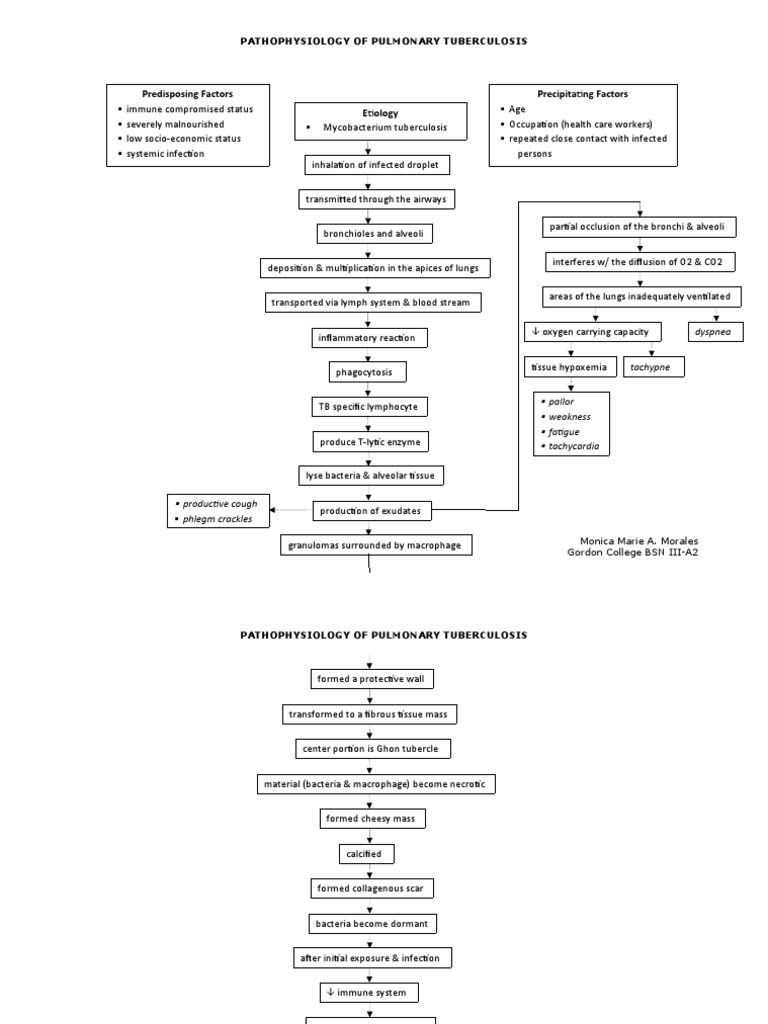 Pathophysiology of Tuberculosis