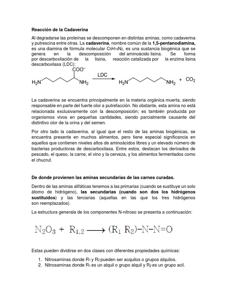 Reacción de La Cadaverina | PDF | Compuestos orgánicos | Química
