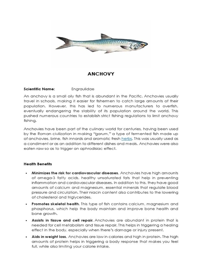 Anchovy | PDF