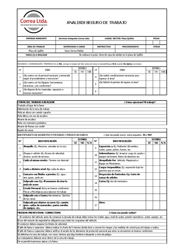 AST Analisis de Trabajo Seguro | PDF | Agua | Naturaleza