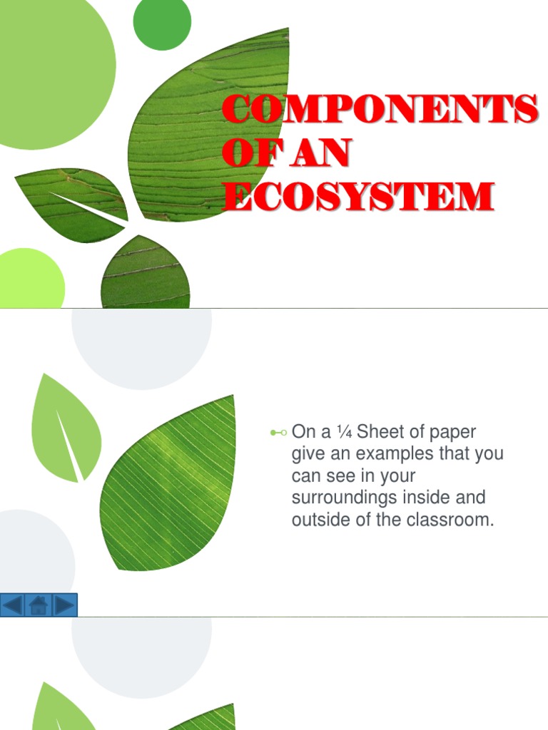 Components Of Ecosystem Pdf Ecological Restoration Ecosystem