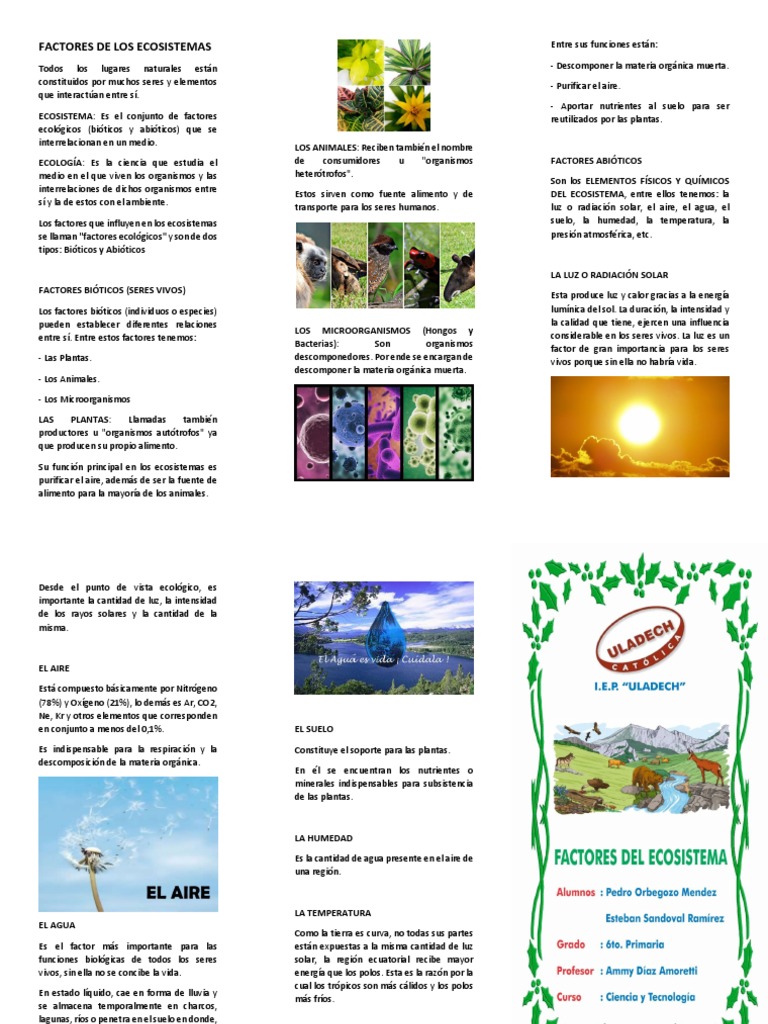 Triptico - Factores de Los Ecosistemas | PDF | Ecología | Ecosistema