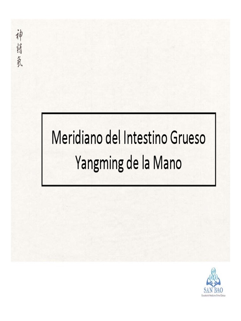 Meridiano del Intestino Grueso: Recorrido y Puntos | PDF | Hombro | Mano