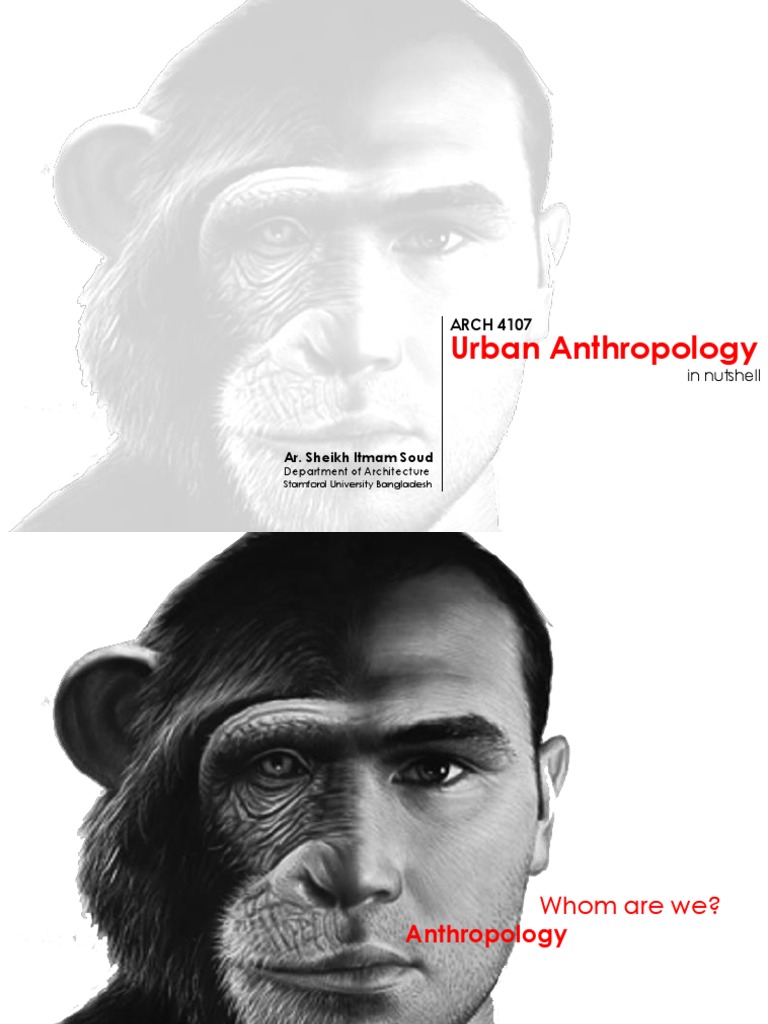 Urban Anthropology L0 | PDF