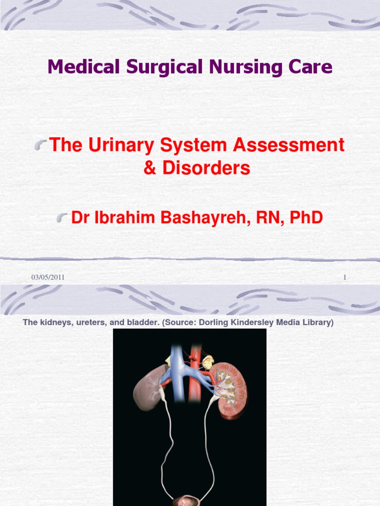 Urinary Tract System Assessment and RF - F | Download Free PDF ...