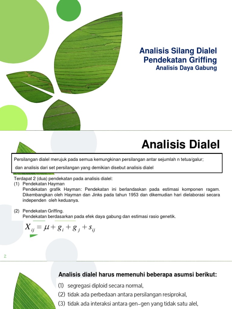 Analisis Dialel-Metode Griffing | PDF