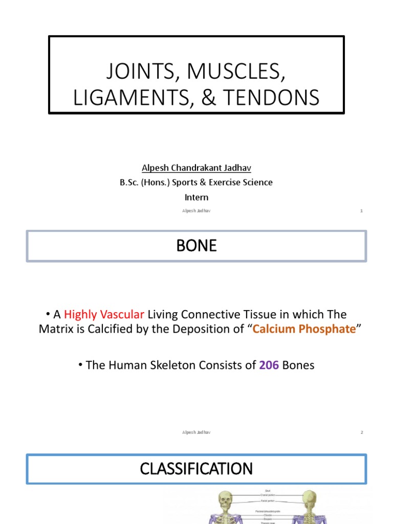 Joints, Muscles, Ligaments, & Tendons | PDF | Cartilage | Bone