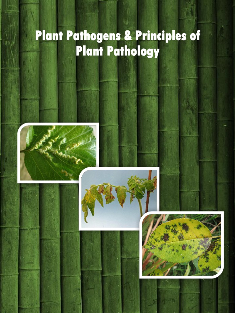 Plant Pathogens Principles of Plant Pathology | Plant Pathology | Fungus