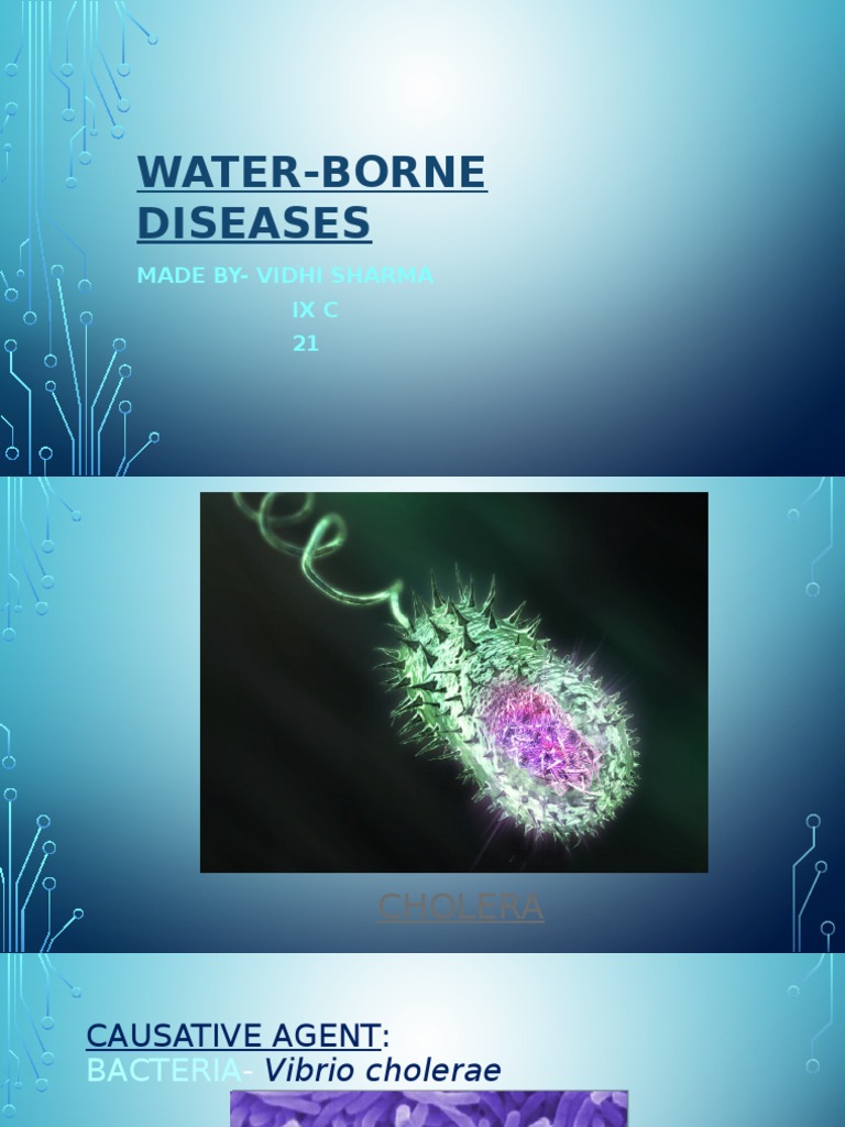 Water Borne Diseases | PDF