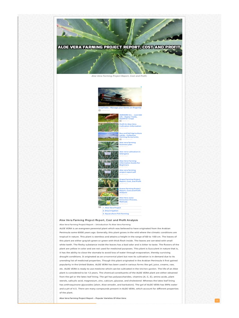 Aloe Vera Farming Project Report Cost and Profit | PDF | Agriculture ...