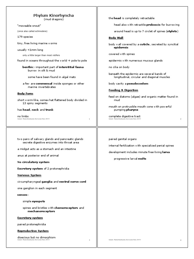 Phylum Kinorhyncha | PDF | Anatomy | Zoology