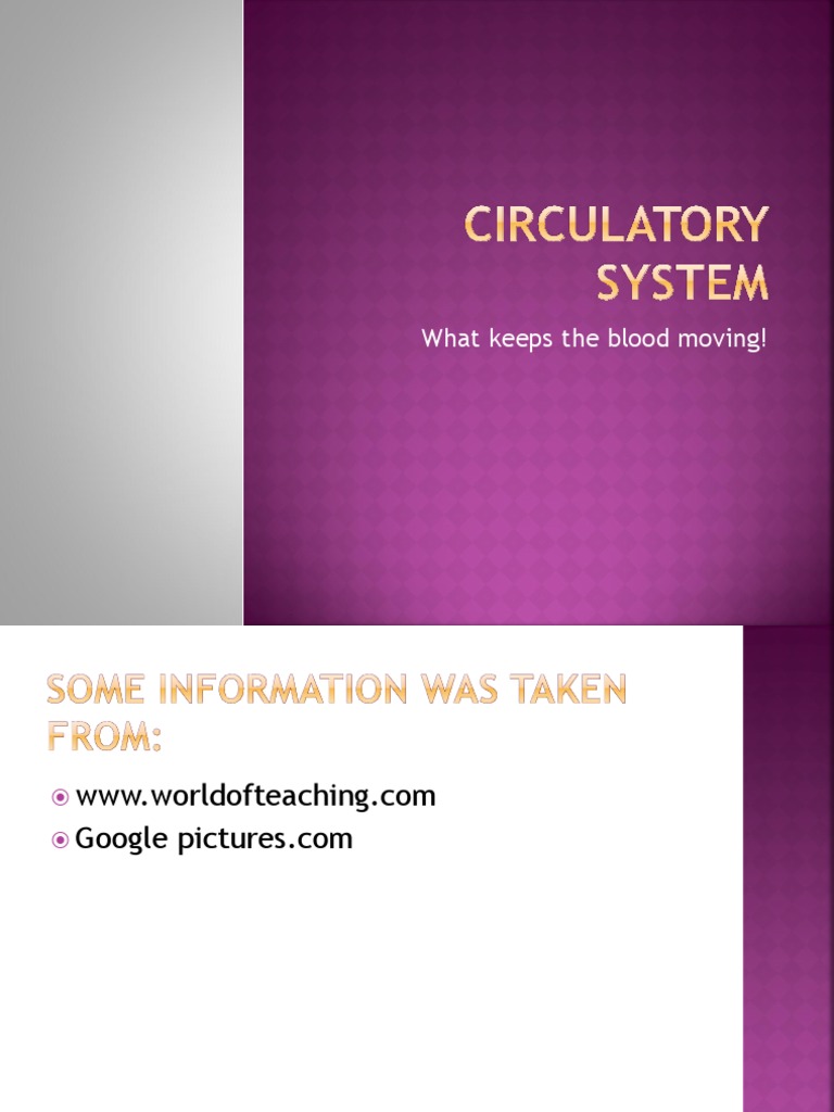 Earth&Life CIDAM Edited | PDF | Circulatory System | Blood