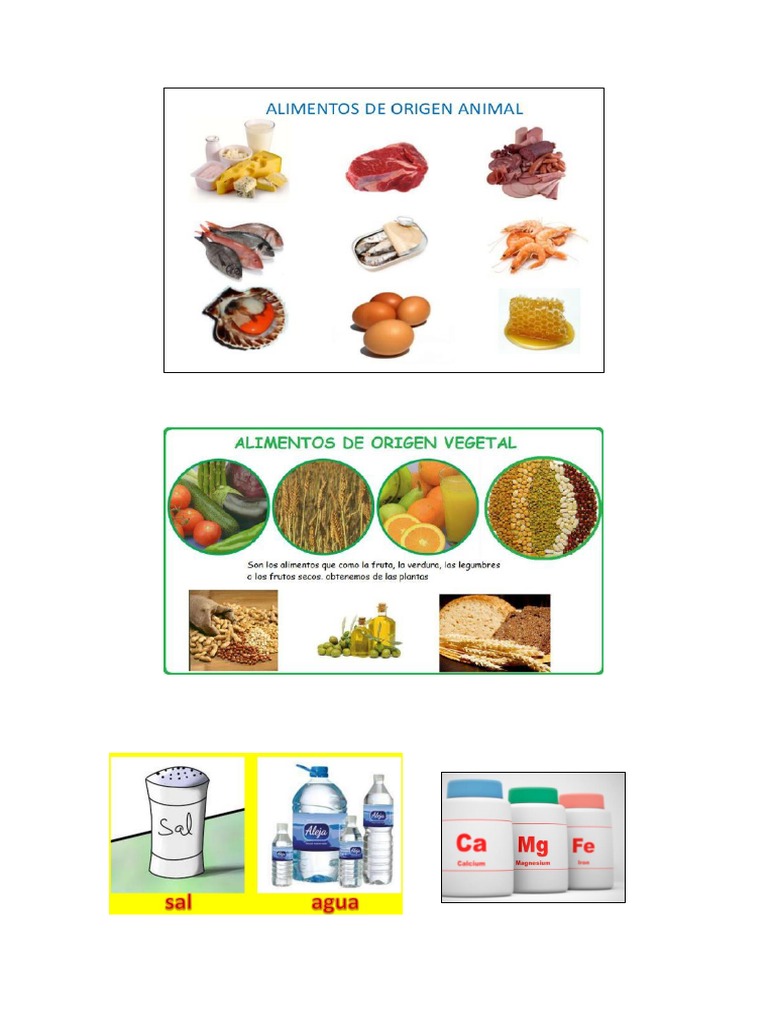 Alimentos Segun Su Origen | PDF