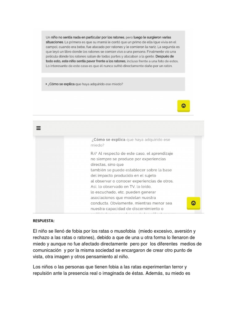 Respuesta Caso Practico Del Miedo Hacia Las Ratas | PDF | Temor | Fobia