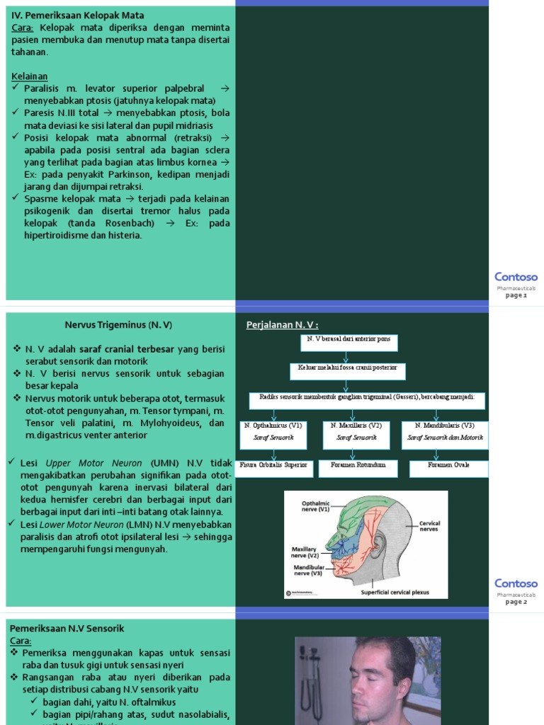 Pemeriksaan Kelopak Mata dan Refleks Saraf Trigeminus | PDF